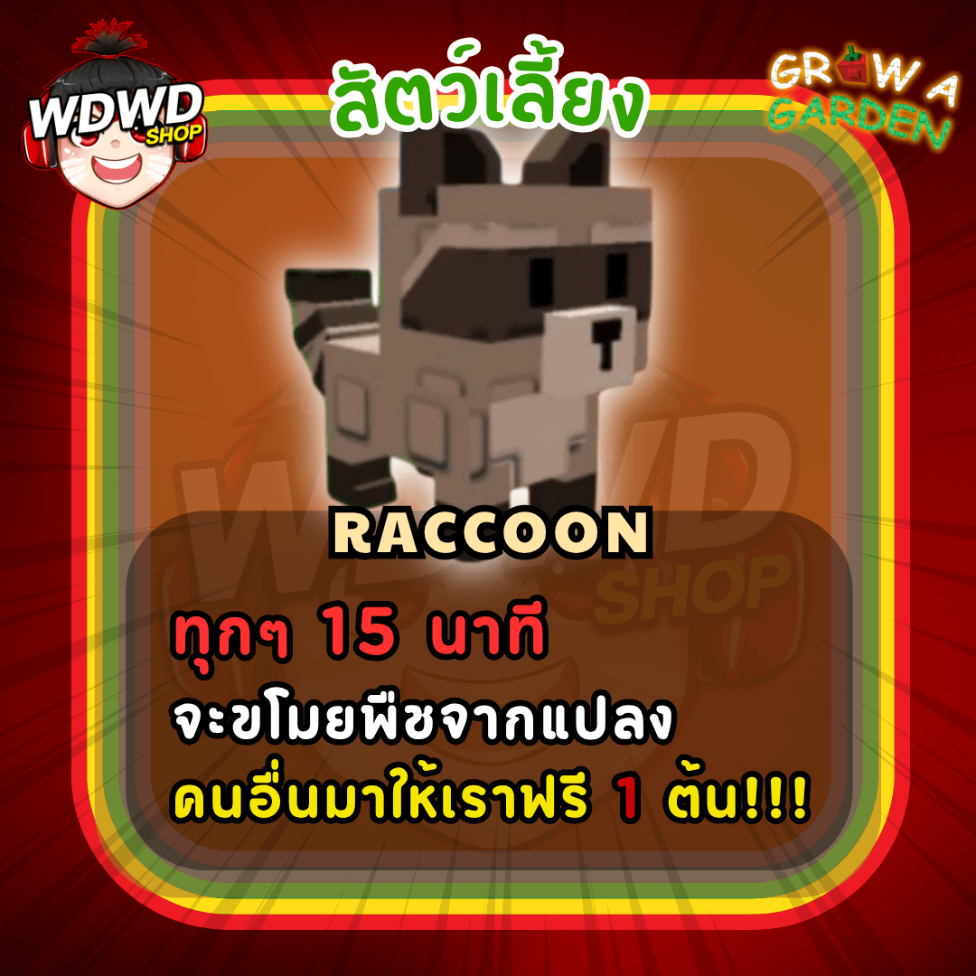 สัตว์เลี้ยง Raccoon • WDWD SHOP