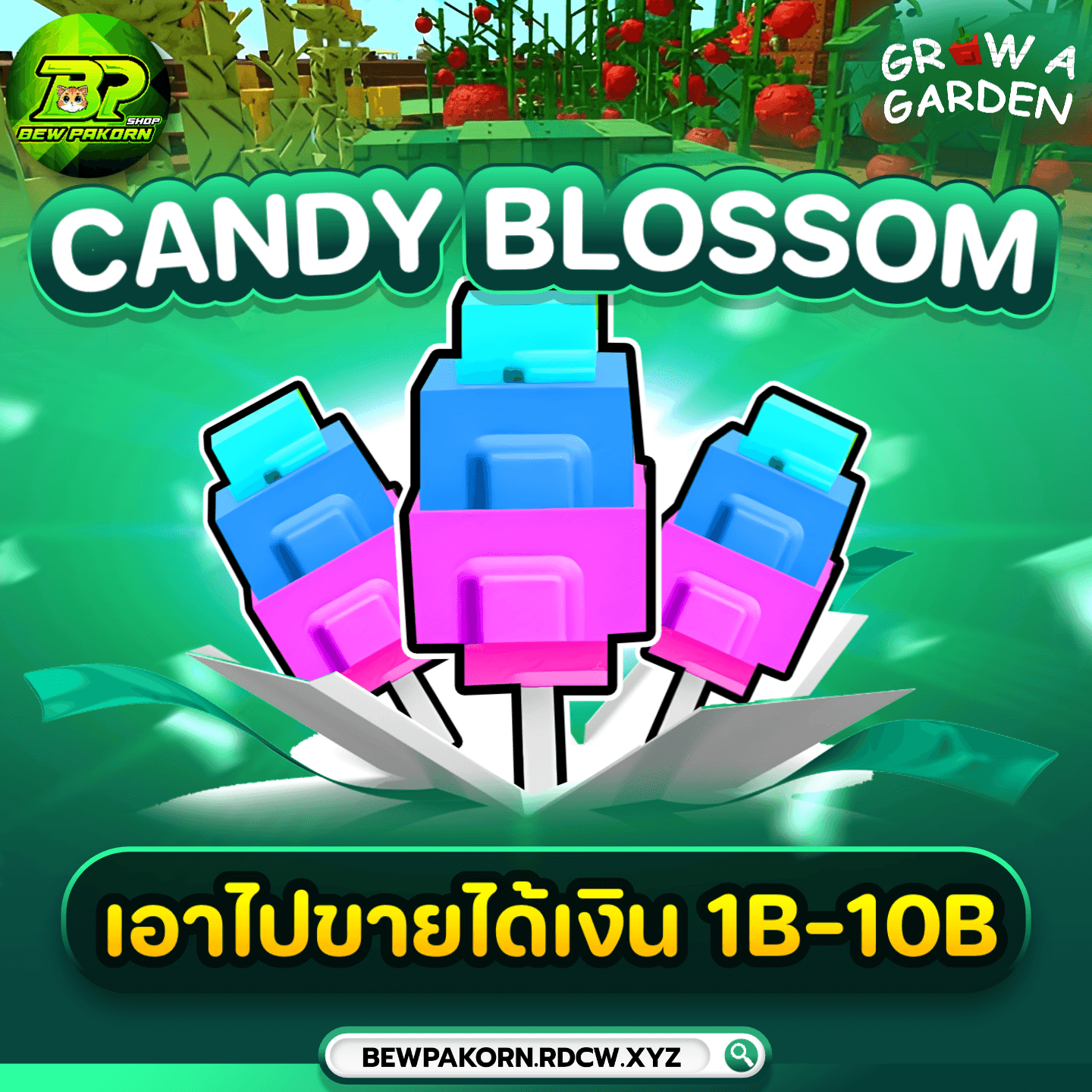 🌵 1 ชิ้น CANDY BLOSSOM ขายได้ 1B-10B • BewPaKorn SHOP