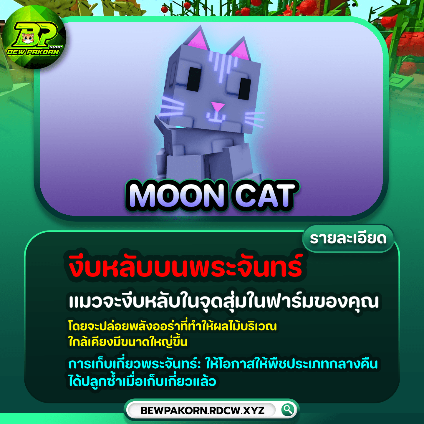 🌵 Moon cat [Legendary] • BewPaKorn SHOP