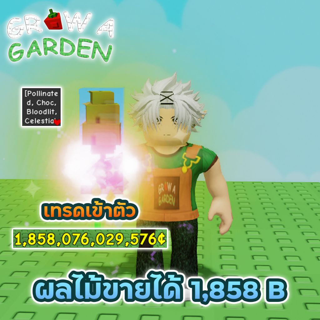 ผลไม้ 1,858 B 🍭 • Xnine Shop