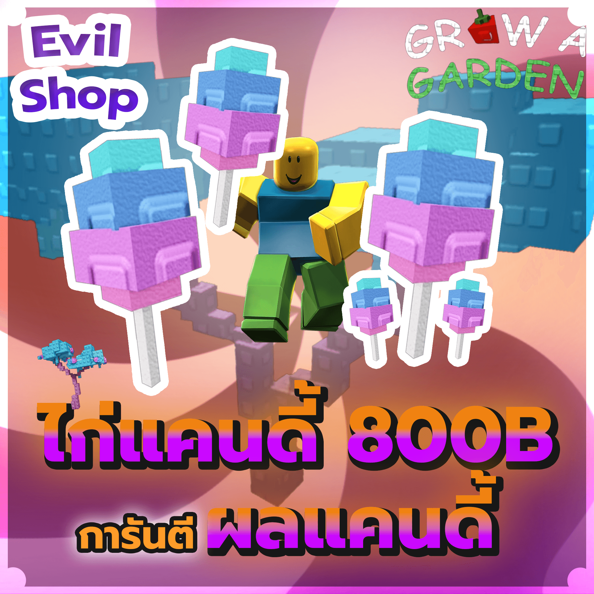 🌱ไก่แคนดี้ 800B การันตีขายได้ 800B • EvilShop