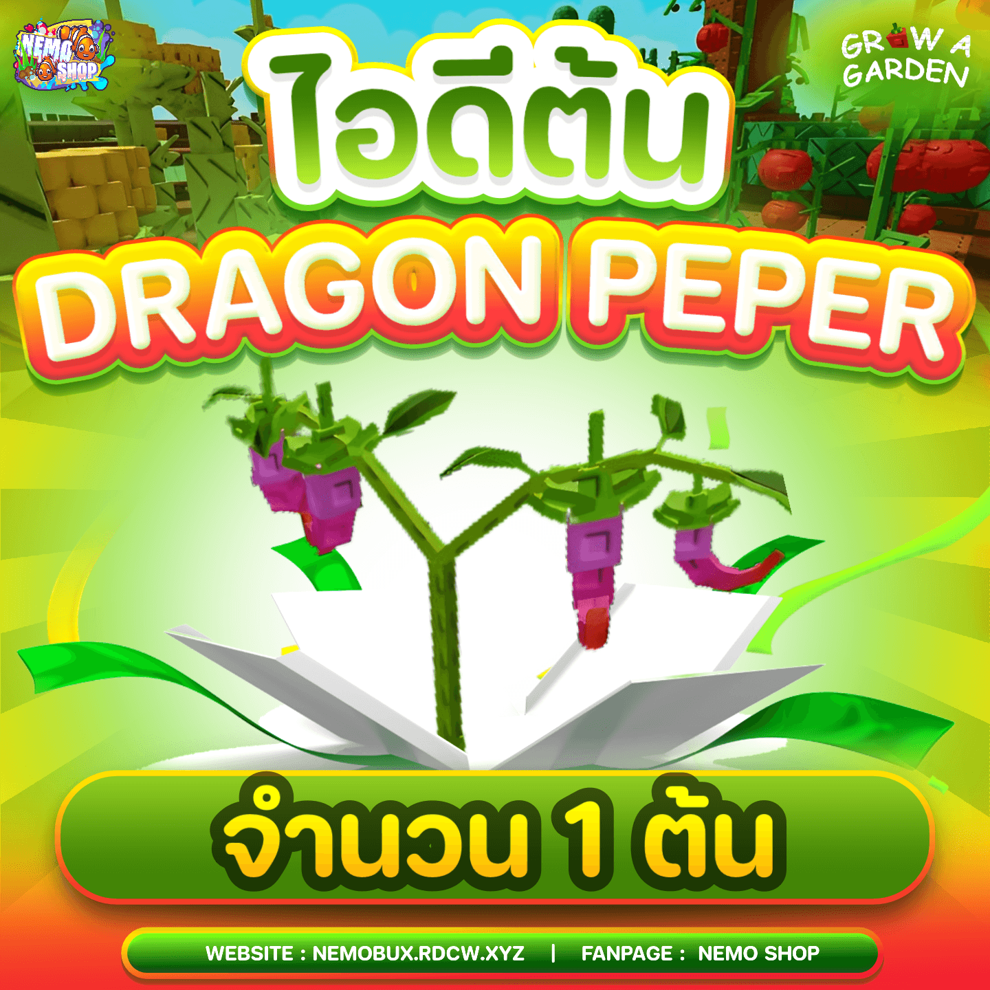 รับประกัน🔐 ไอดีต้นDragon Peper 1 ต้น • Nemo Shop