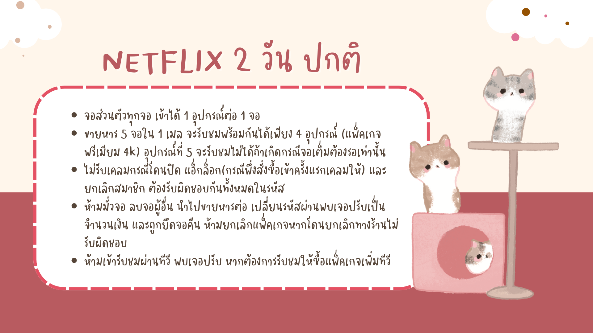 PINKPLOY SHOP | Homepage